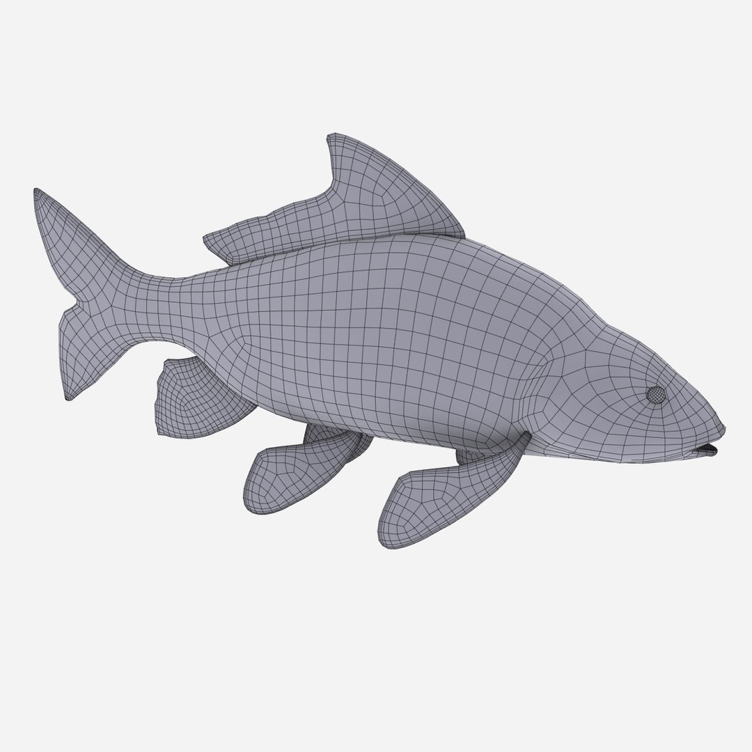 Common Carp Fish 3d 3ds