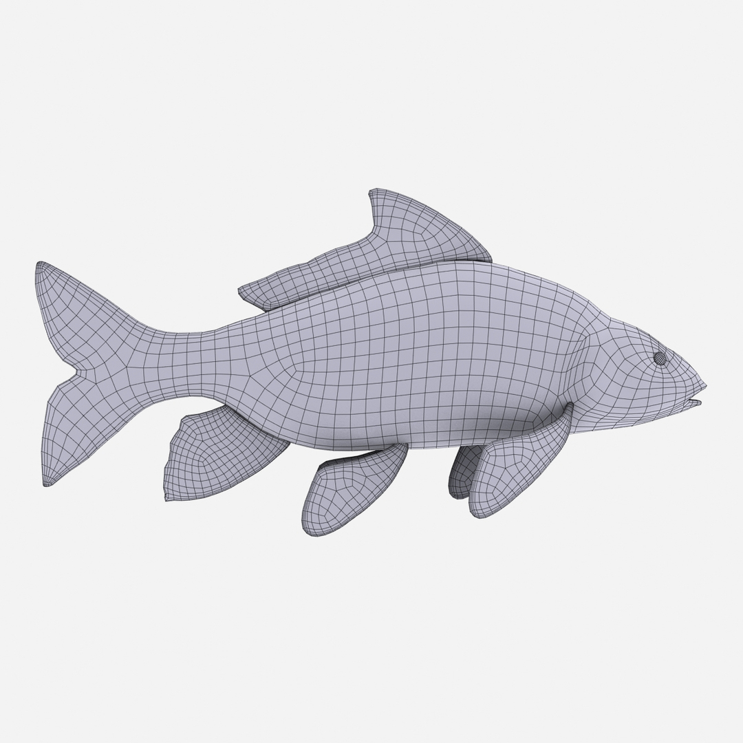 Common Carp Fish 3d 3ds