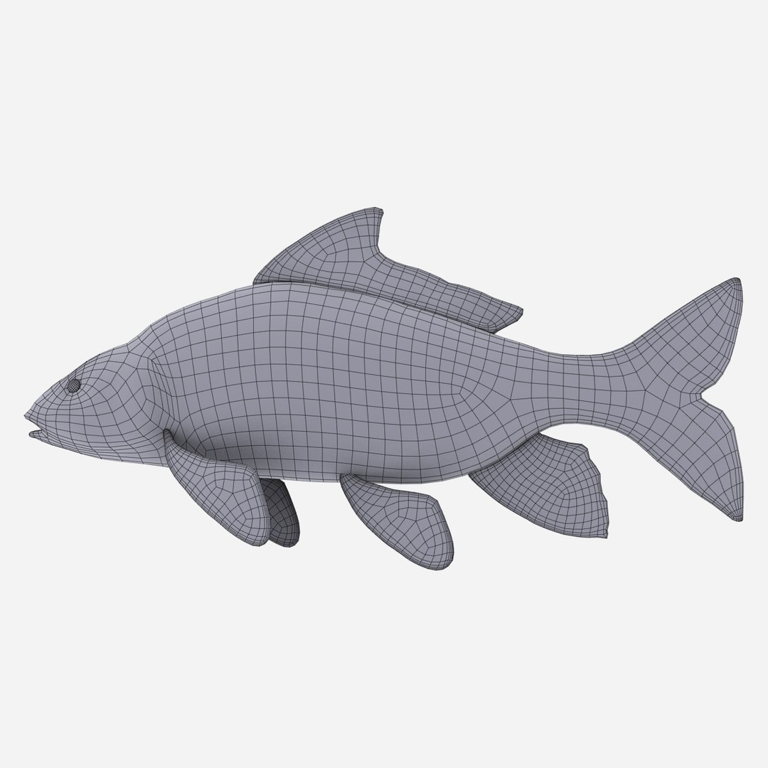 Common Carp Fish 3d 3ds