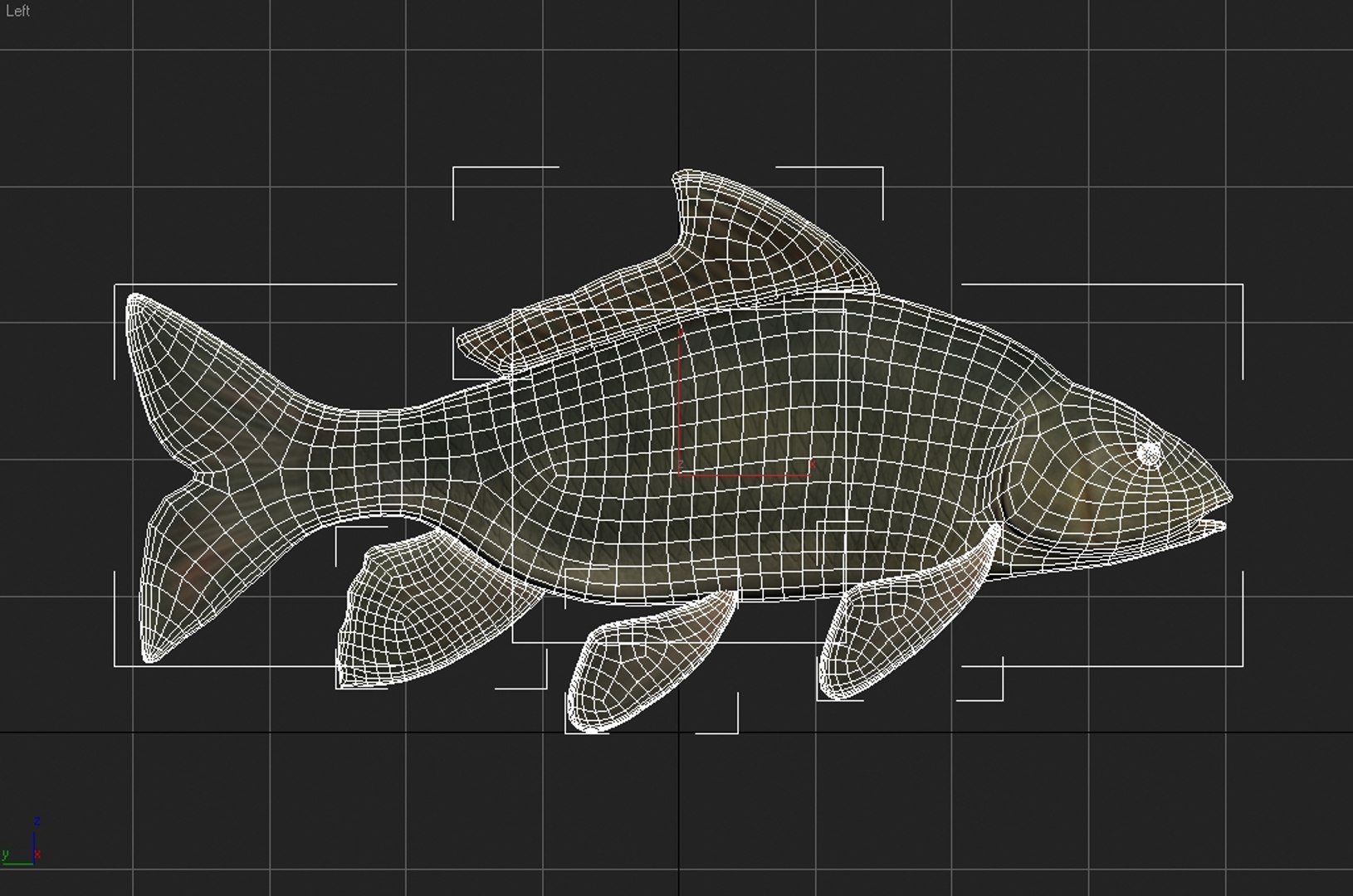 Common Carp Fish 3d 3ds