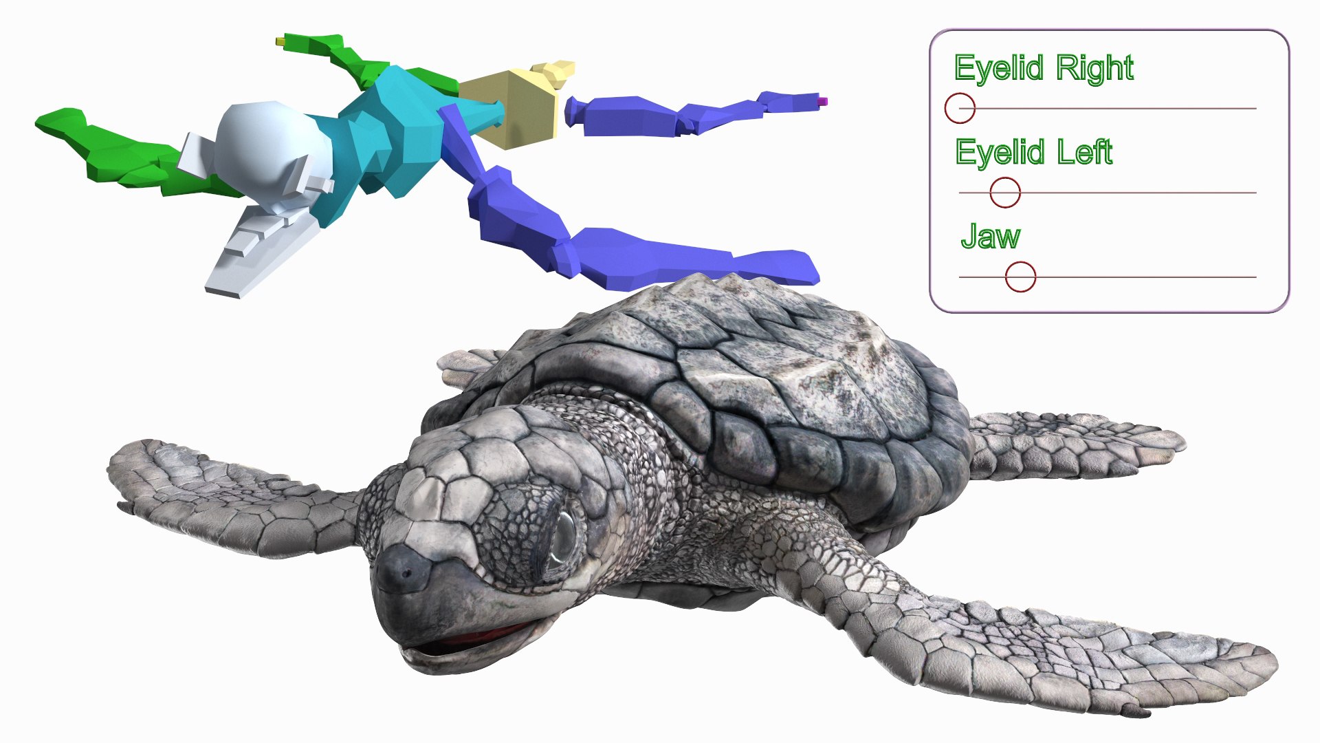 3D Baby Sea Turtle Gray Rigged - TurboSquid 2199767