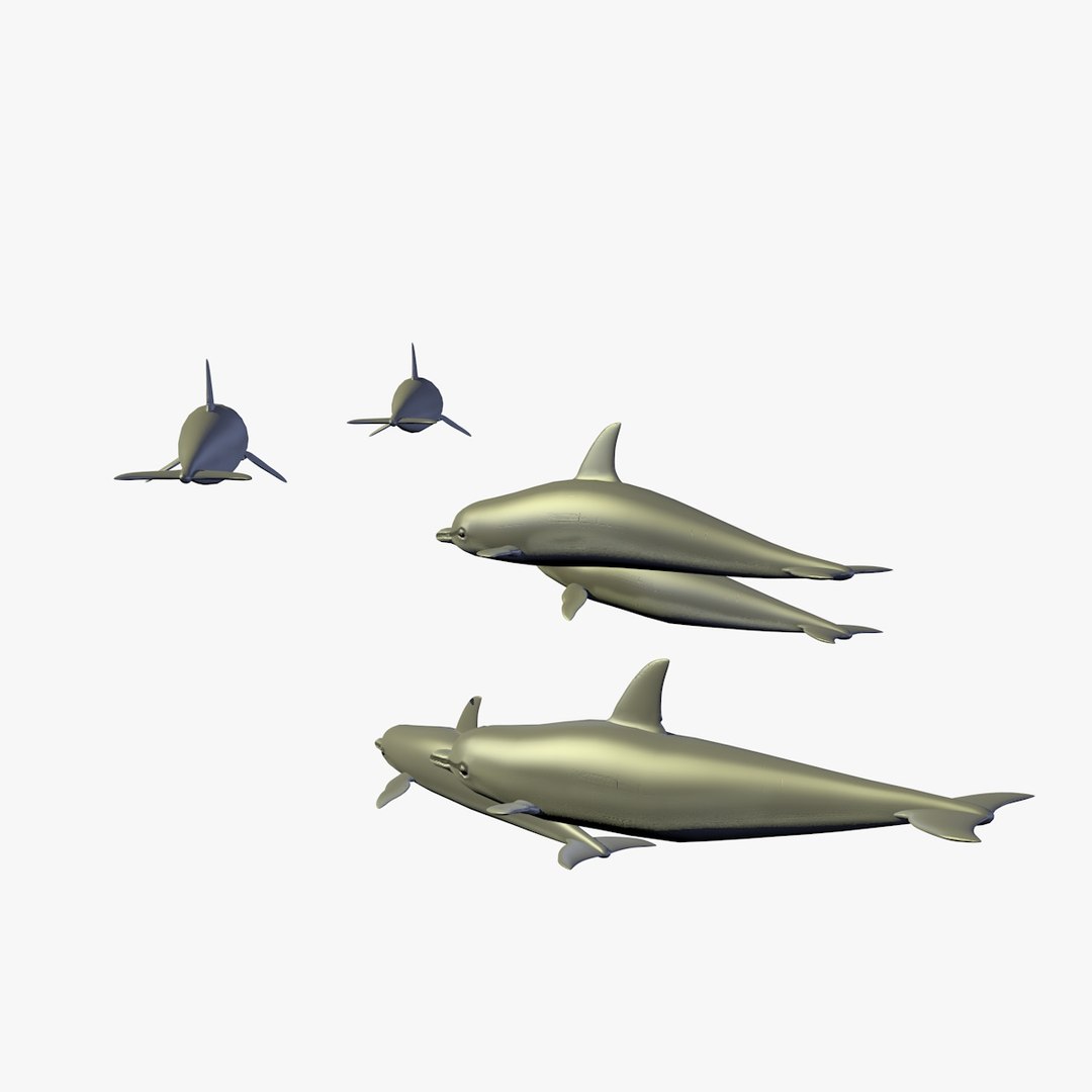 3D Group Dolphins Swimming Animation Model - TurboSquid 1197522
