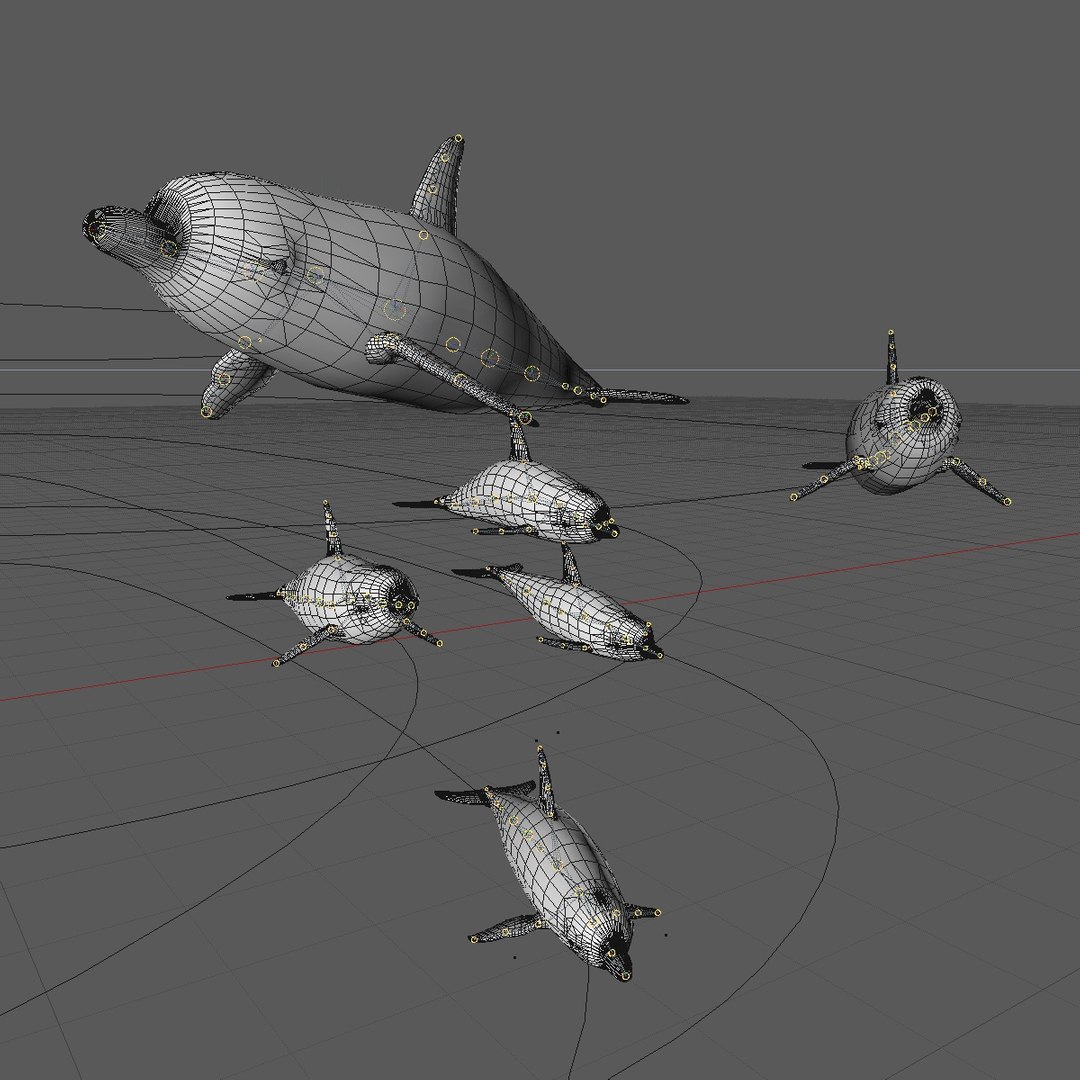 3D Group Dolphins Swimming Animation Model - TurboSquid 1197522