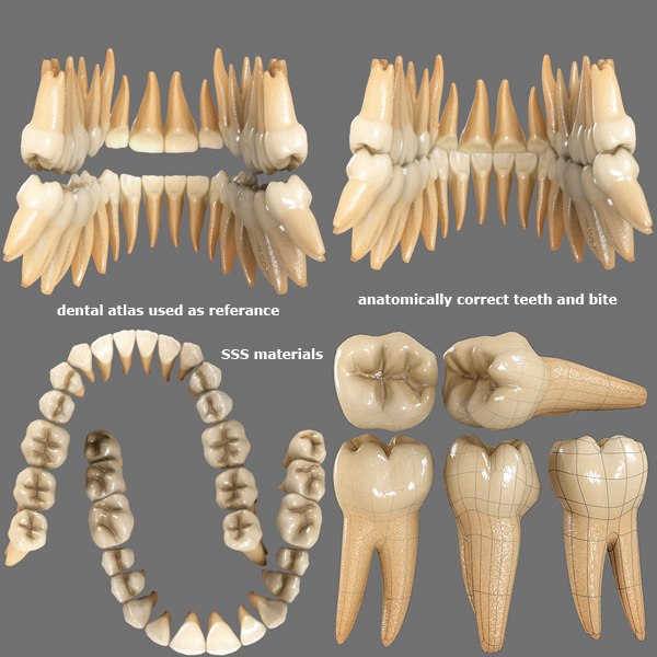 realistic female 2 vampirella 3d model