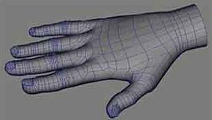 Free Low Poly Hand 3D Models for Download | TurboSquid