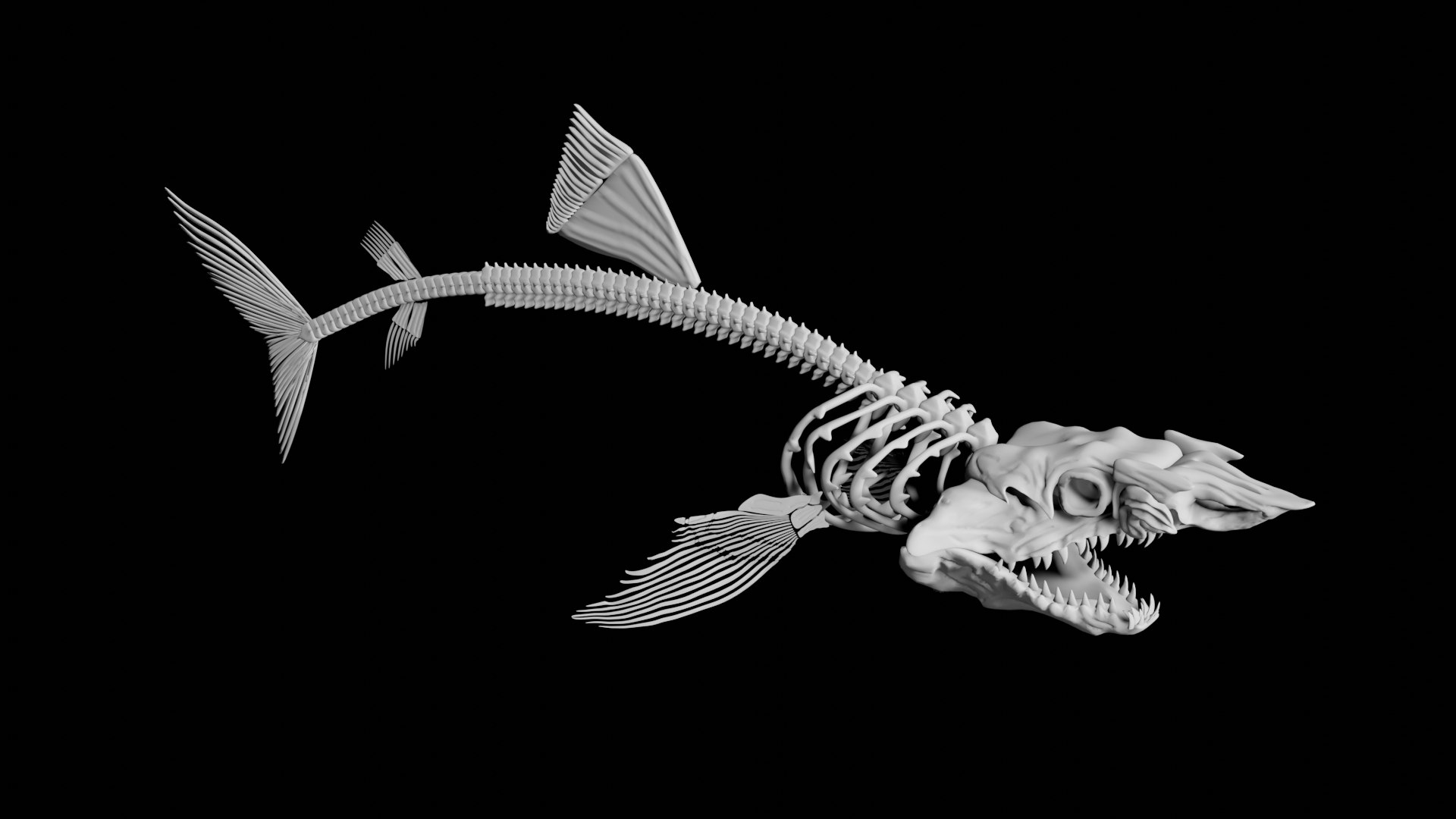 Shark Skeleton 3D Model - TurboSquid 1847245