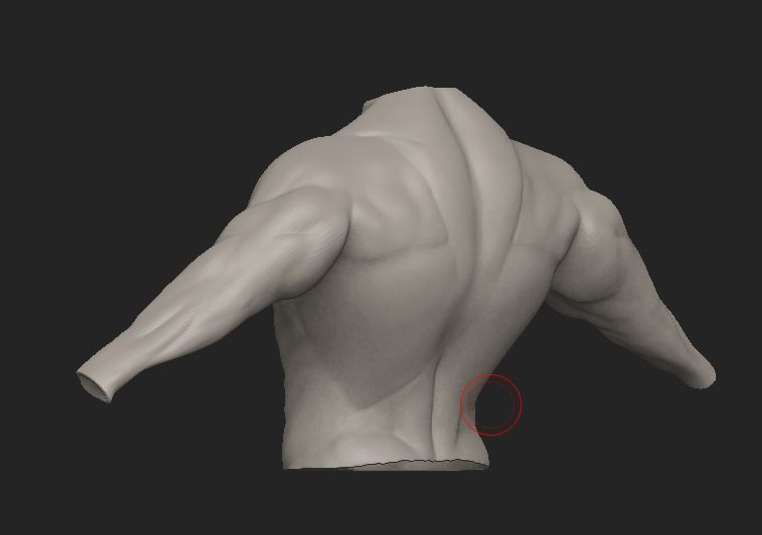 3D upper body man model - TurboSquid 1339522