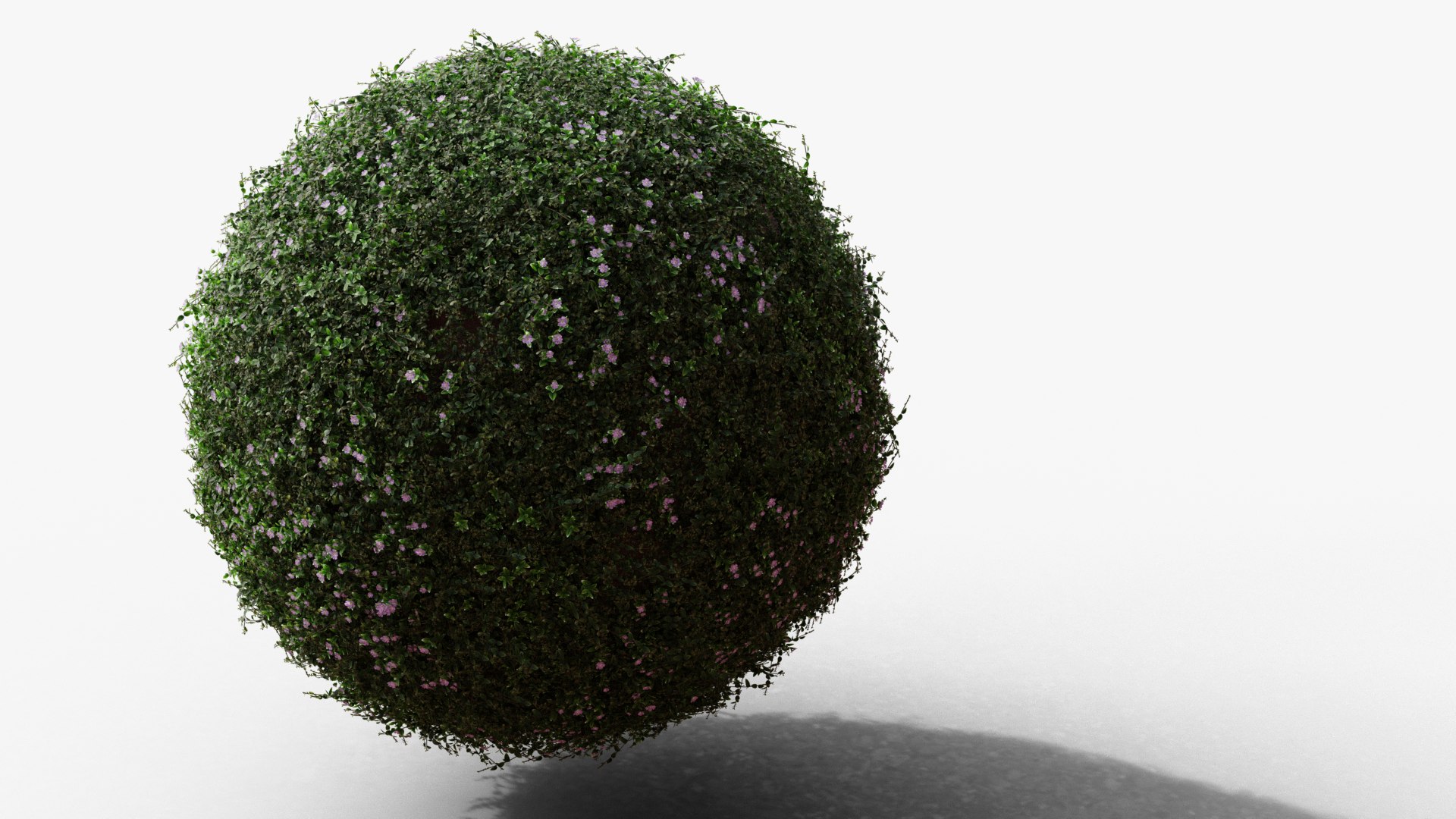 Vinca minor model - TurboSquid 1833173