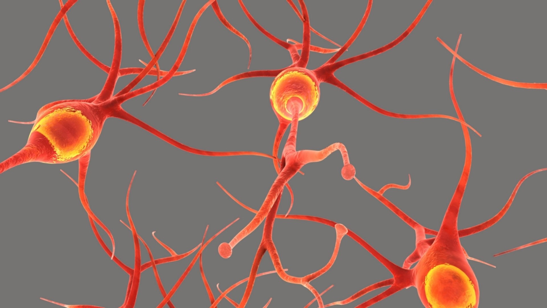 3D Neural Tissue Model - TurboSquid 1261525