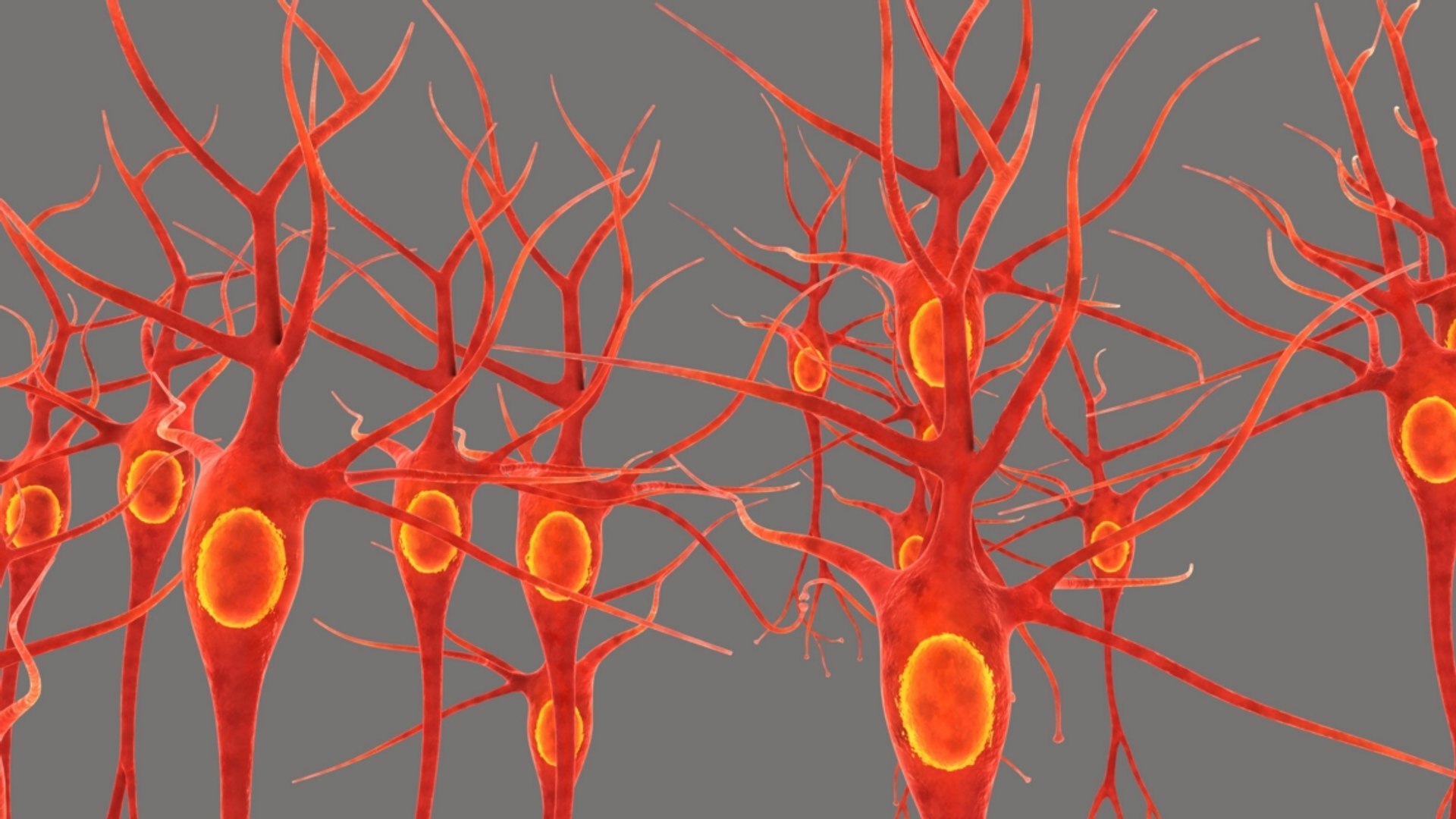 3D Neural Tissue Model - TurboSquid 1261525