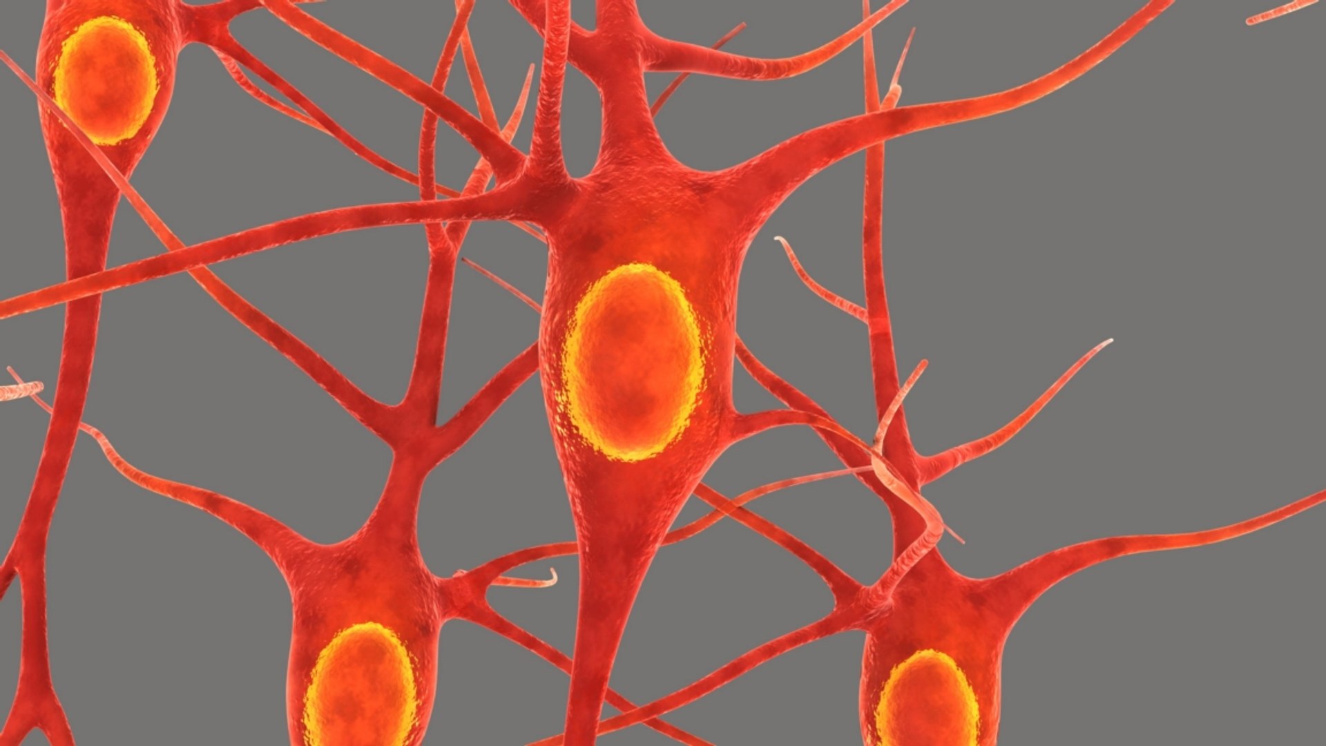 3D Neural Tissue Model - TurboSquid 1261525