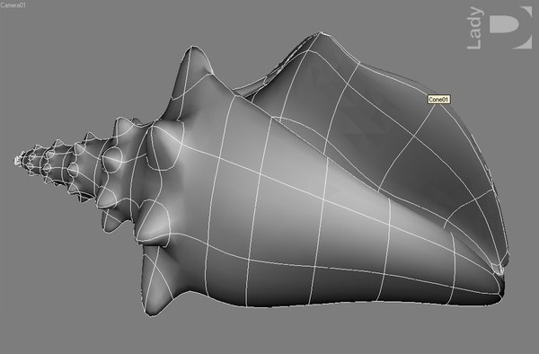 seashell decoration lady 3d model