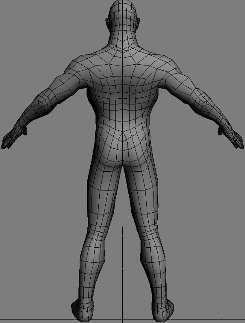 Male Base Mesh 3d Model