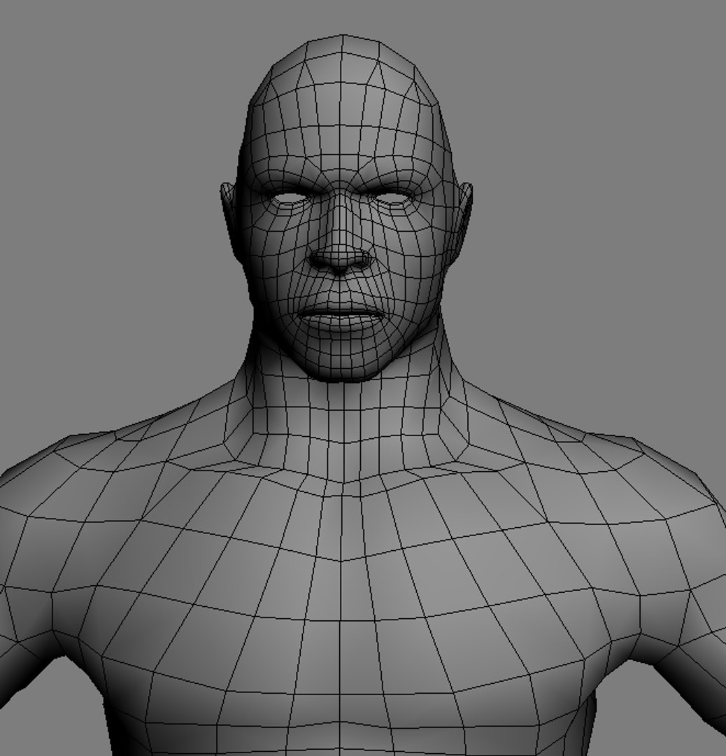 Male Base Mesh 3d Model