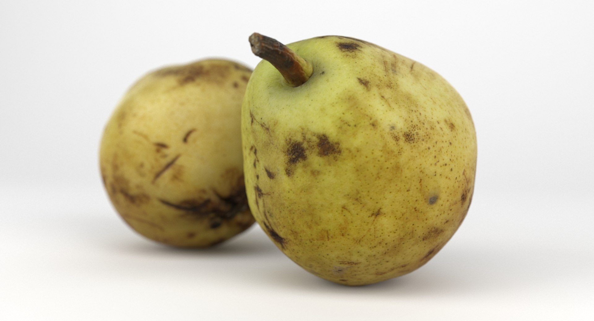 Photogrammetry Pear Model - TurboSquid 1385987