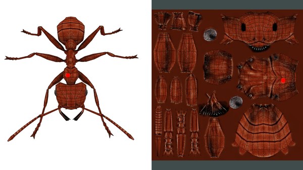 3D animal ant bug model - TurboSquid 1483182