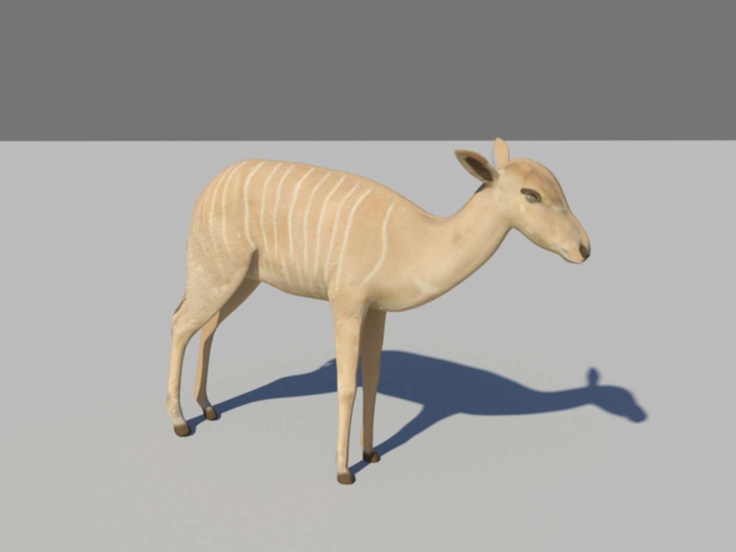 nyala antelope 3d model