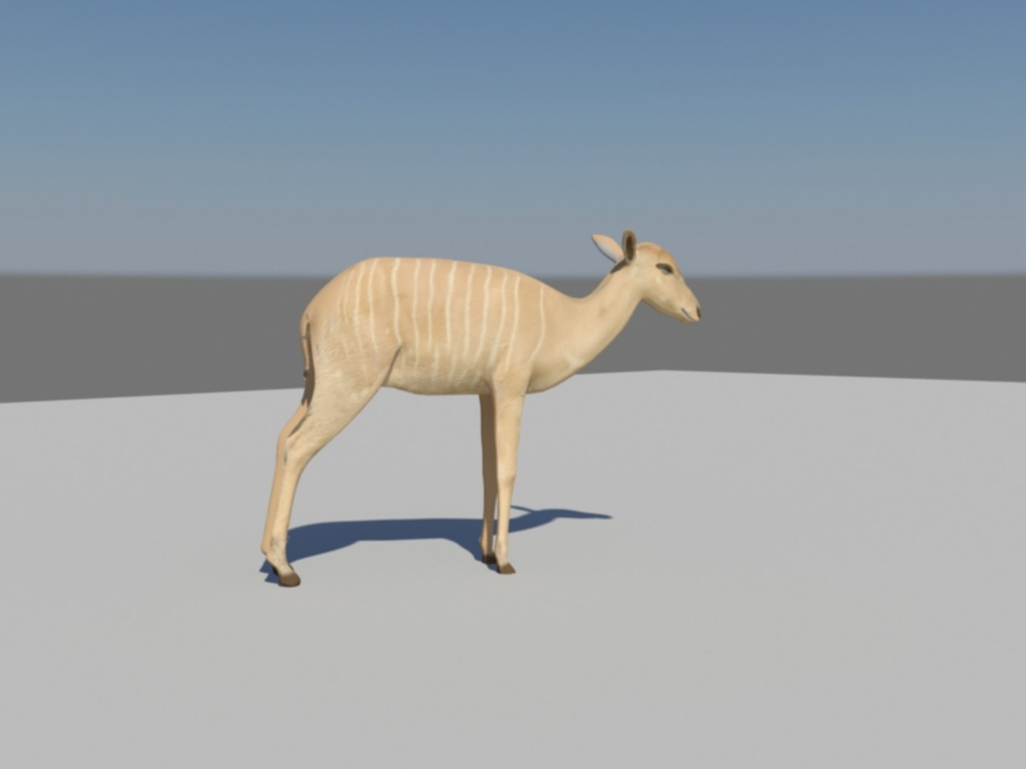 nyala antelope 3d model