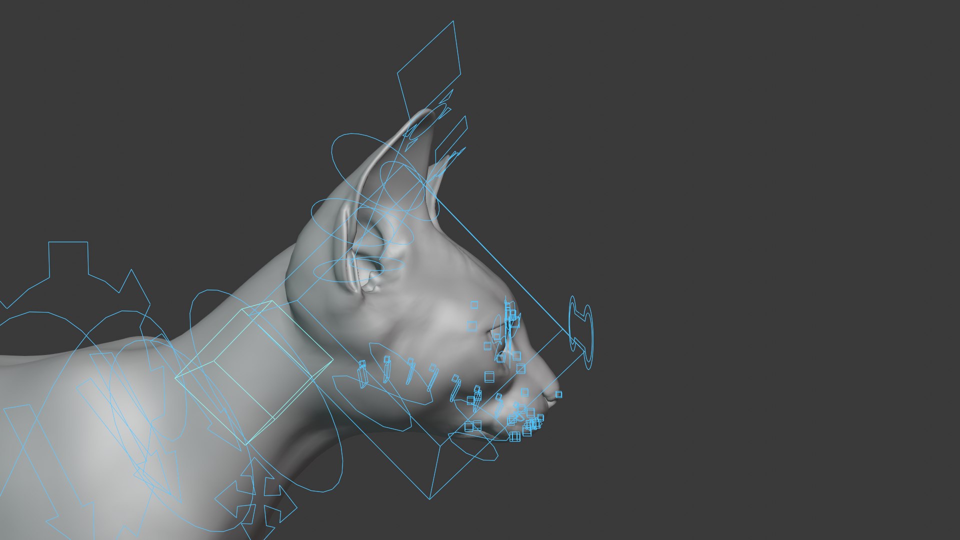 Orange Cat Animated 3D Model - TurboSquid 2008214