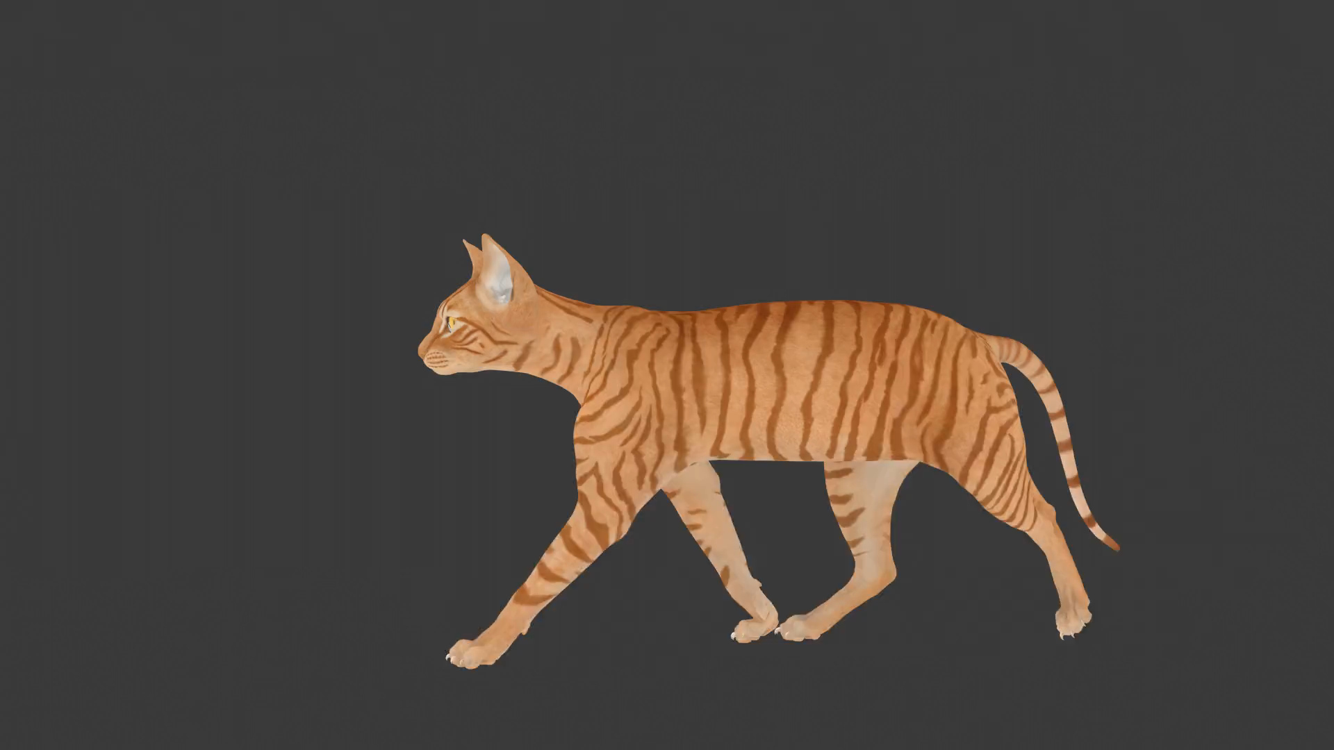 Orange Cat Animated 3D Model - TurboSquid 2008214