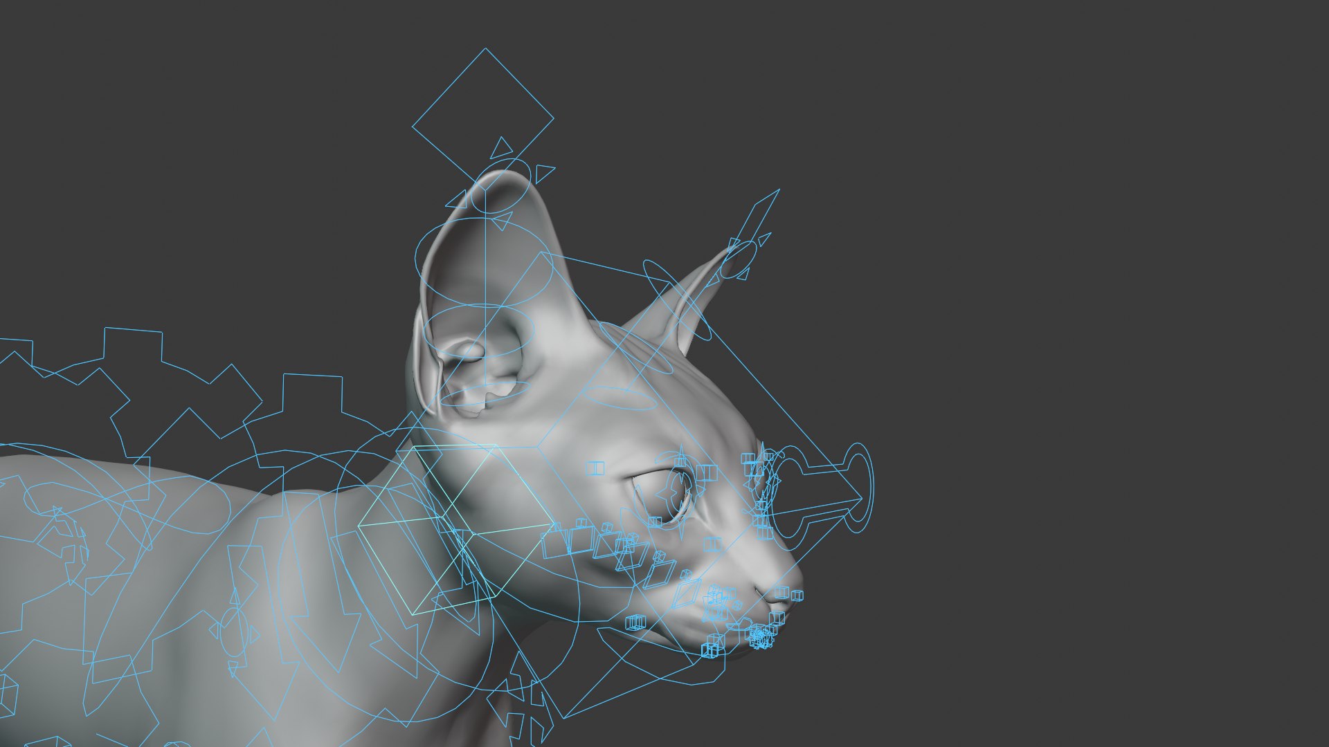 Orange Cat Animated 3D Model - TurboSquid 2008214