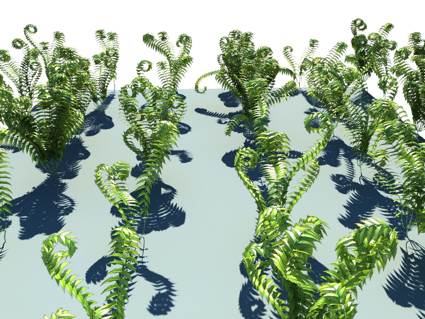 3d model fern ecosystems pack 24