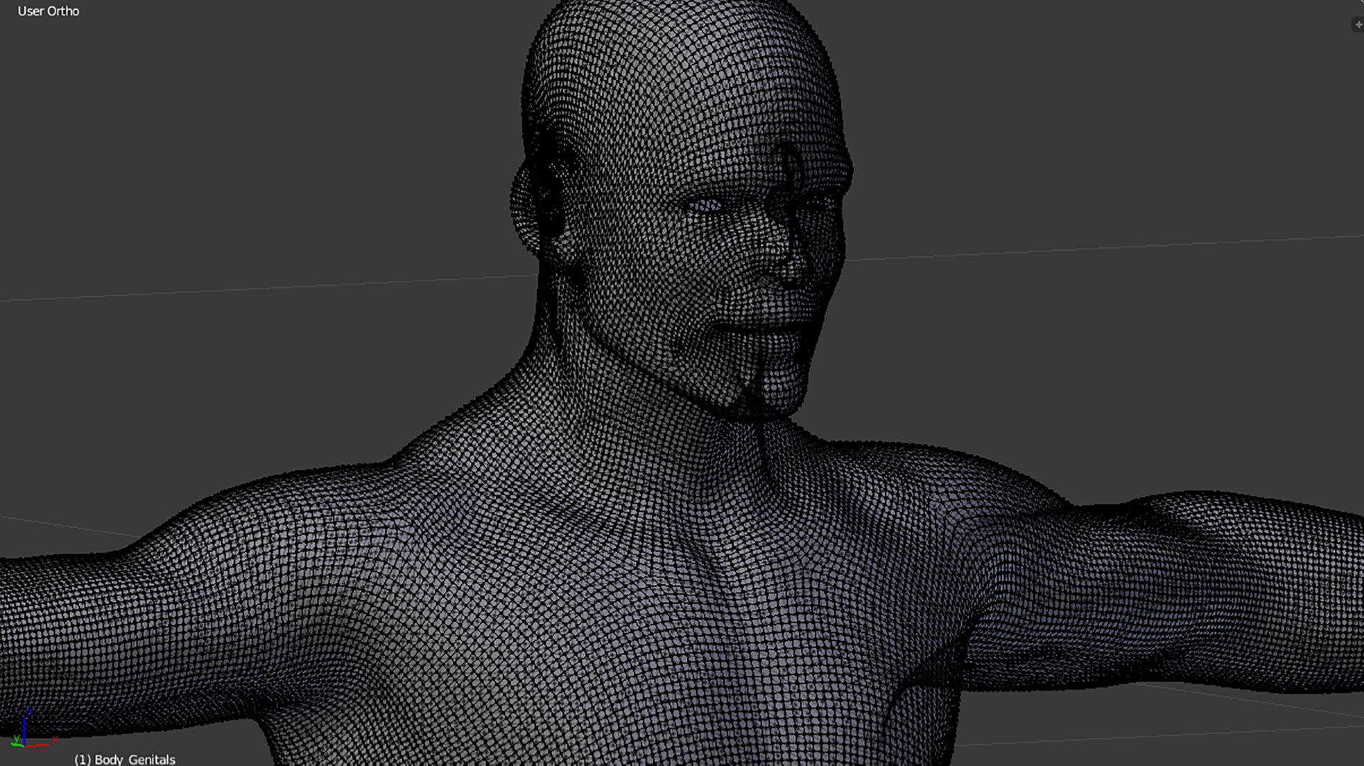 Male Anatomy 3D Model - TurboSquid 1726195