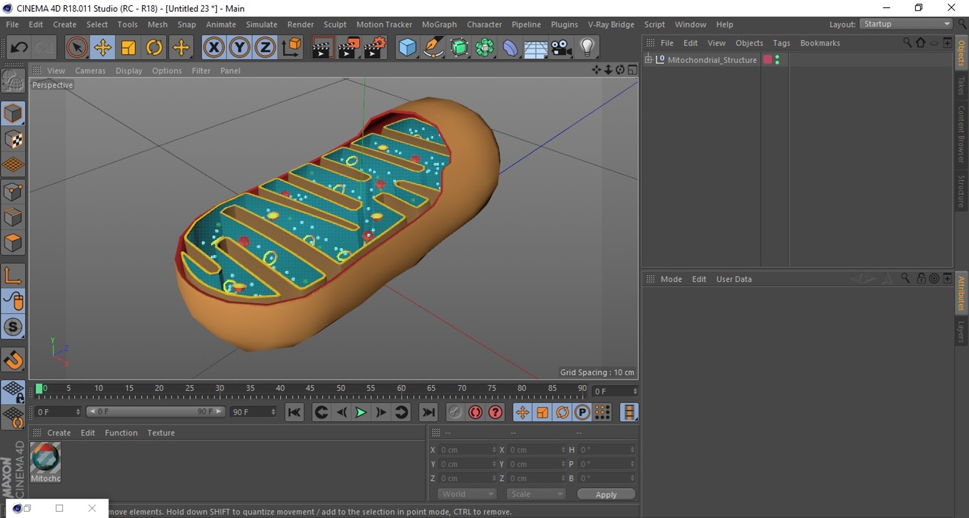 3D Model Mitochondrial Structure - TurboSquid 2221486
