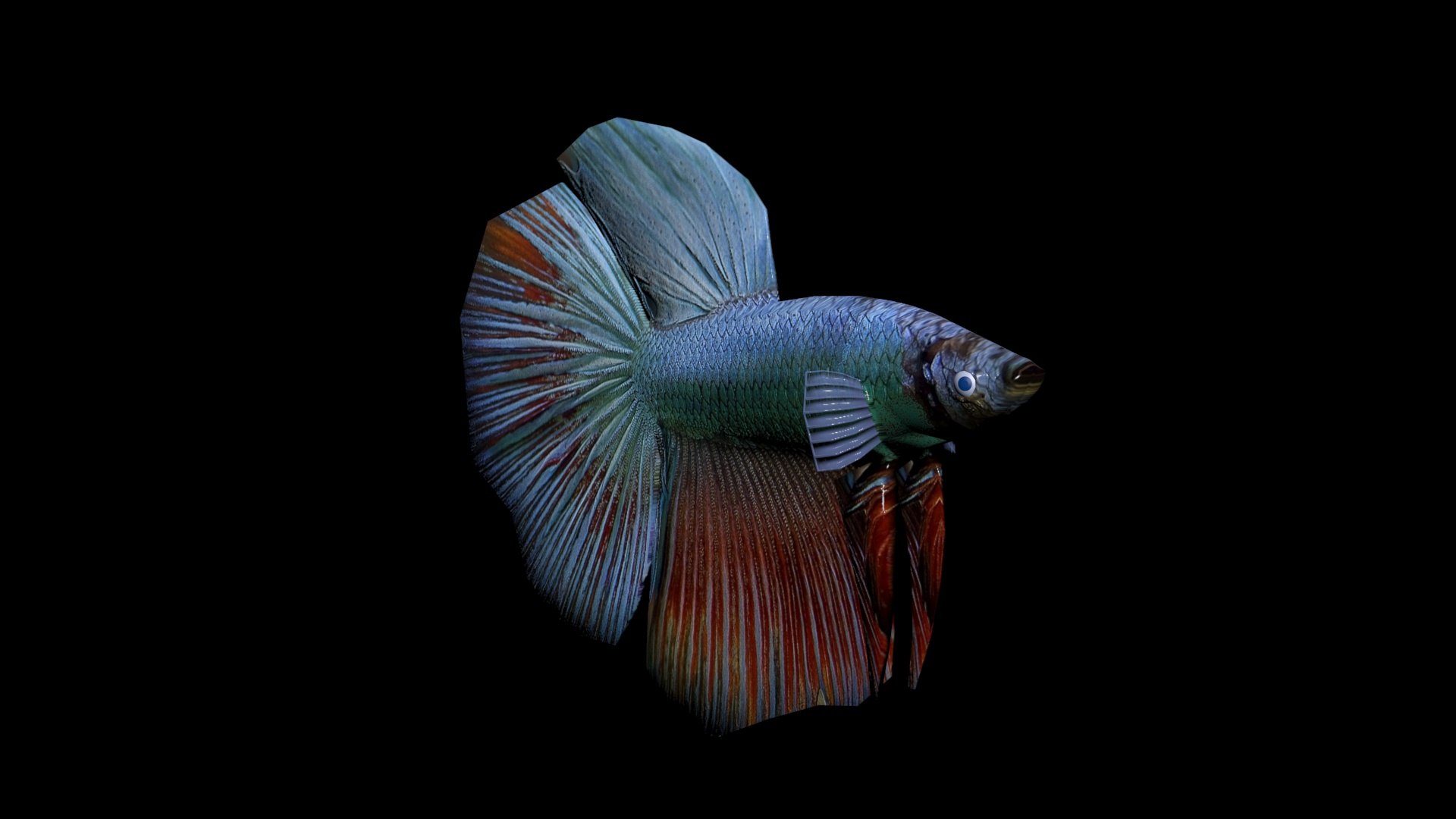 Beta 3D - TurboSquid 1473081