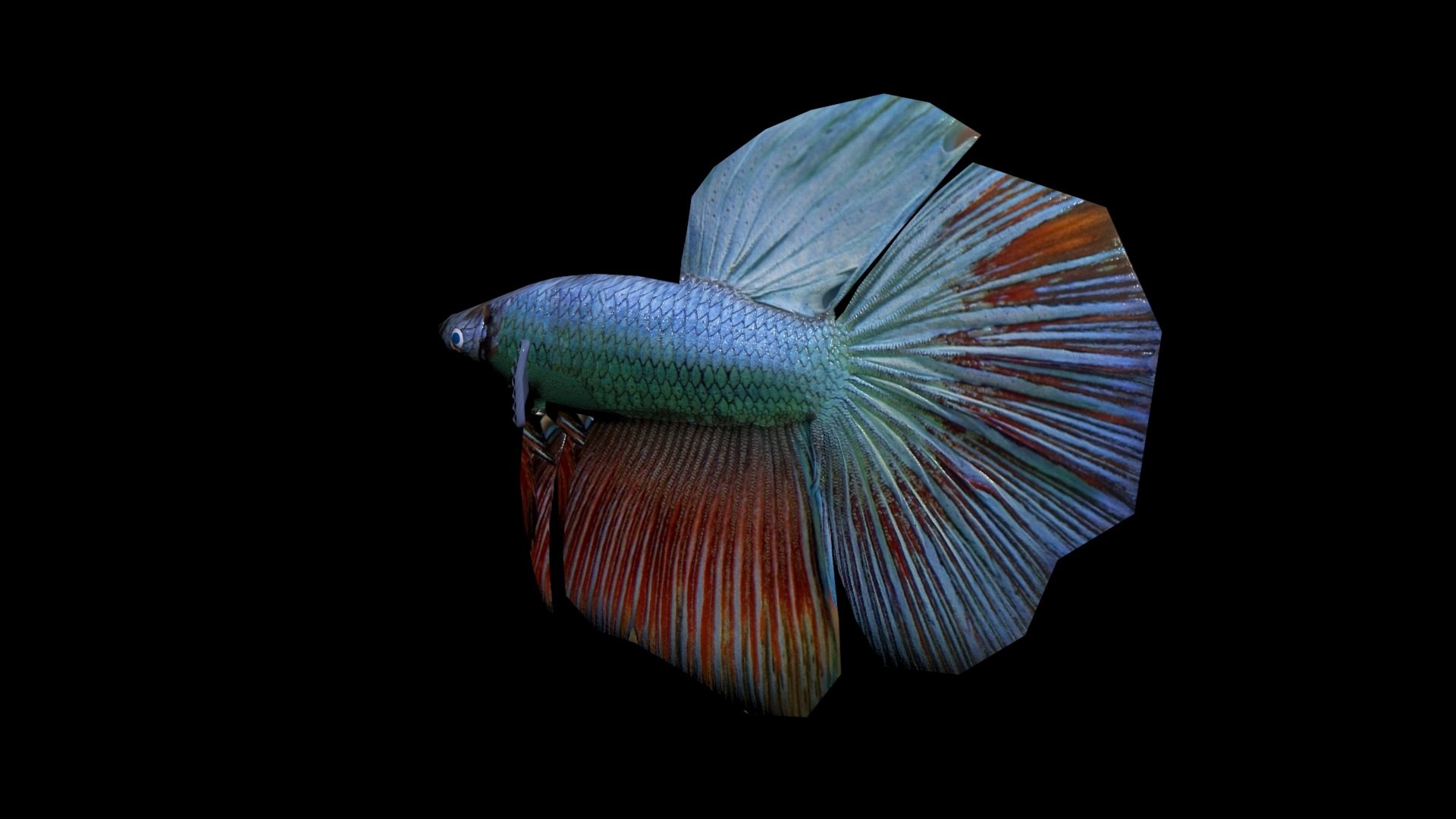 Beta 3D - TurboSquid 1473081