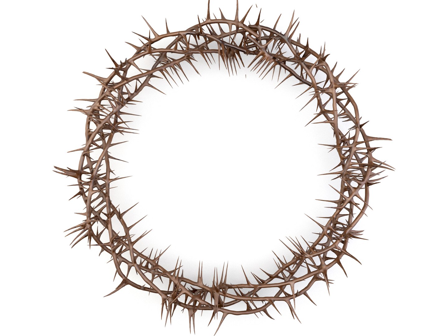 3D Crown Of Thorns 3 Model - TurboSquid 2003490