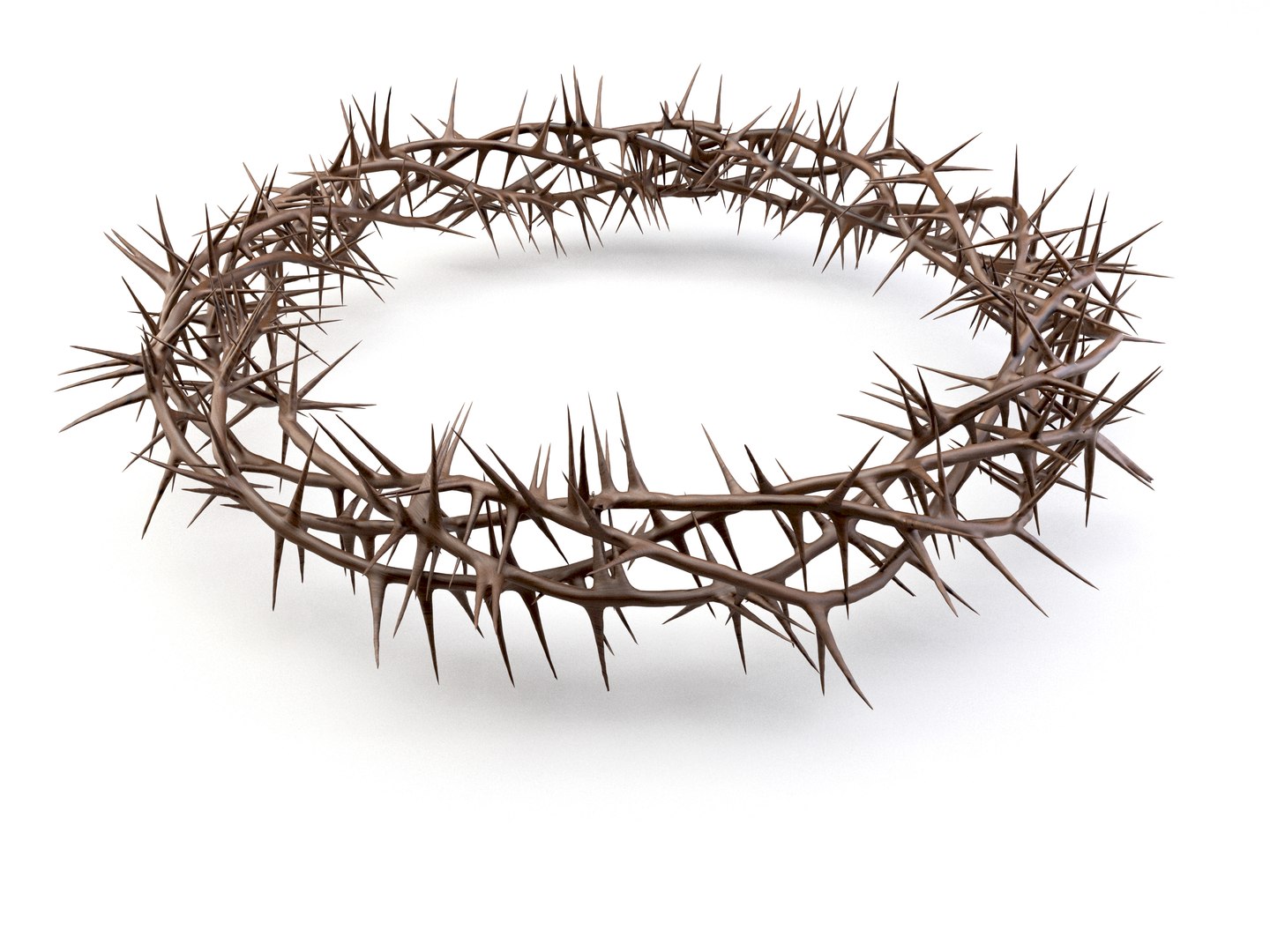 3D Crown Of Thorns 3 Model - TurboSquid 2003490
