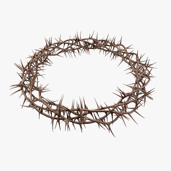 3D Crown Of Thorns 3 model - TurboSquid 2003490