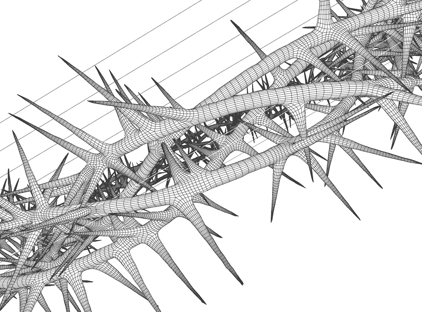 3D Crown Of Thorns 3 Model - TurboSquid 2003490