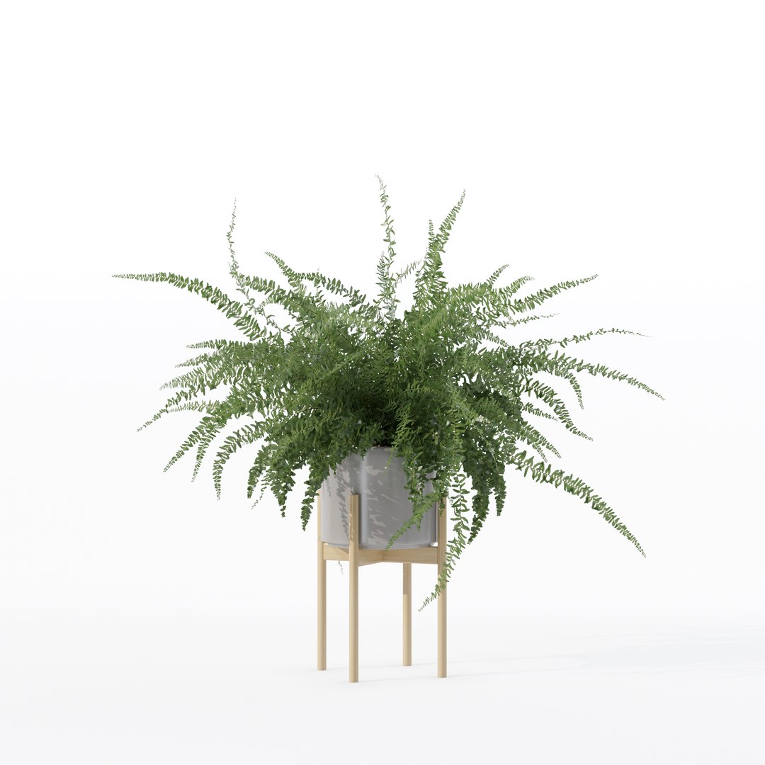 Big Fern In Modern Flower Pot 3D Model - TurboSquid 2184736