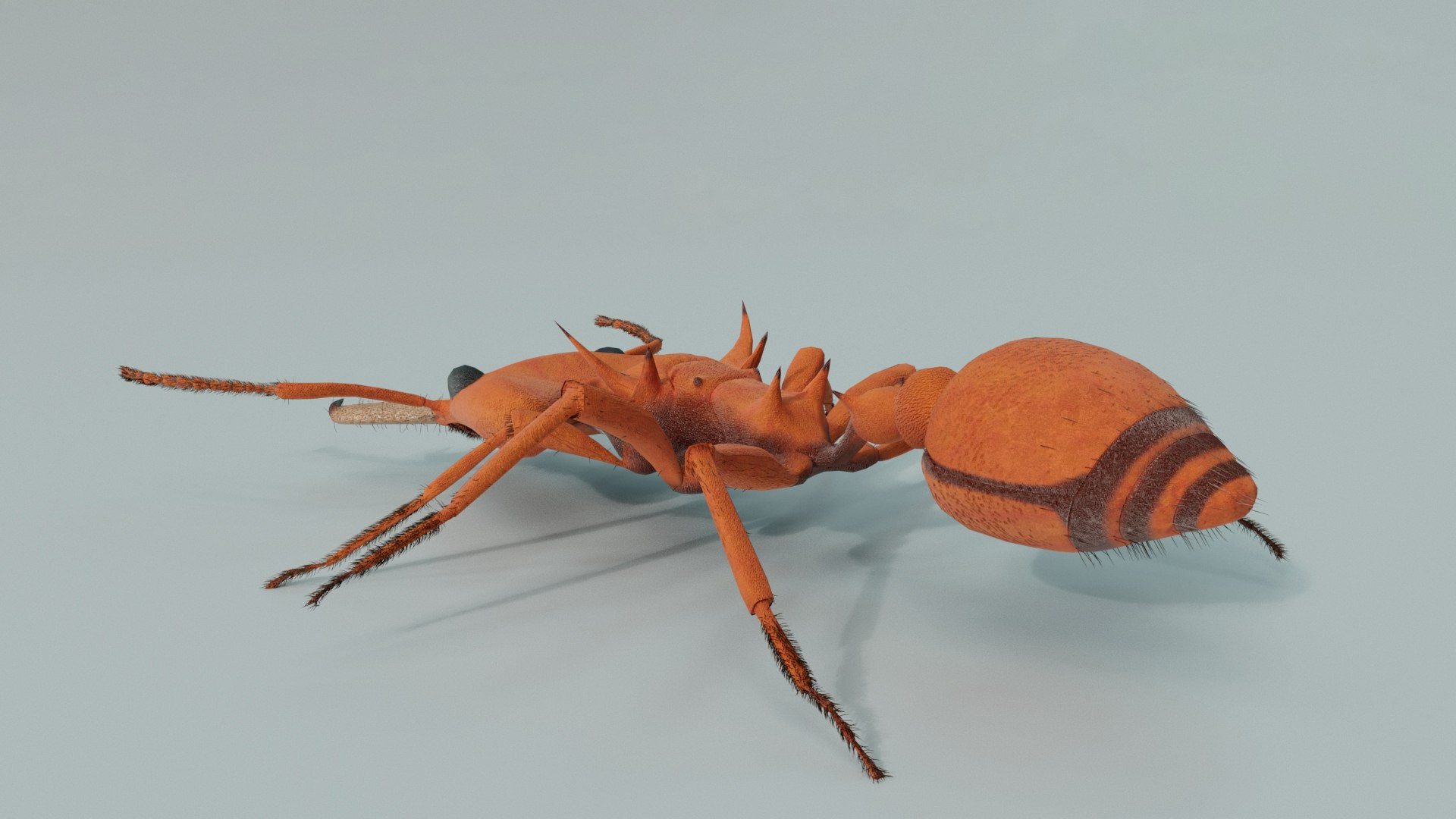 Relastic Daceton Armigerum Ant Rigged Animated 8K Textures 3D Model ...