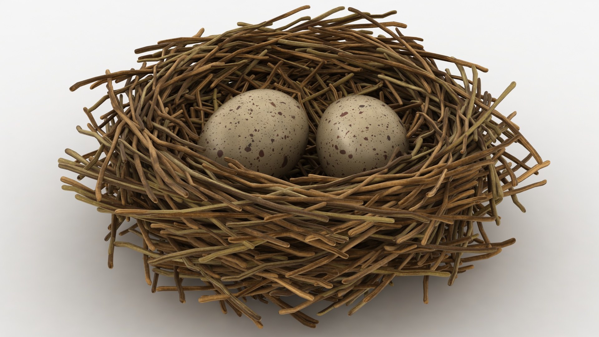 Realistic Bird Nest 02 Model - TurboSquid 1561338