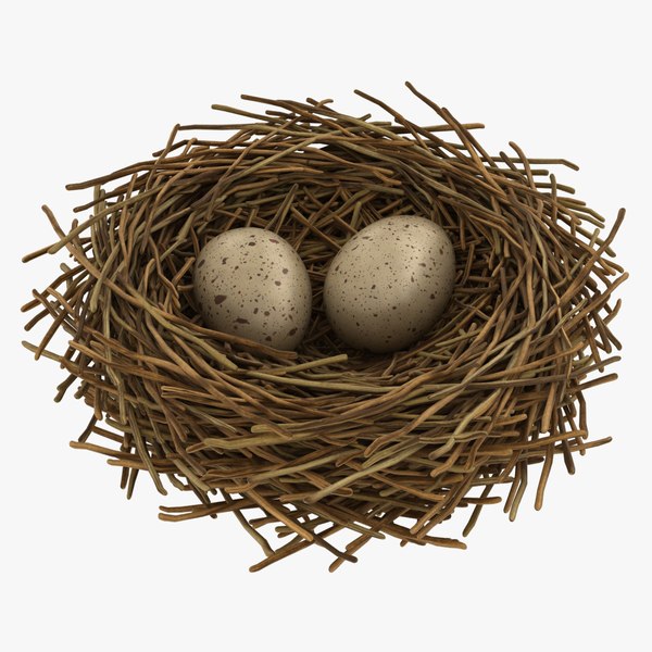 Realistic bird nest 05 3D model - TurboSquid 1562042