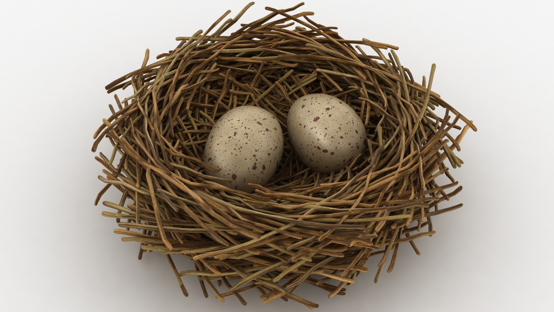 Realistic Bird Nest 02 Model - TurboSquid 1561338