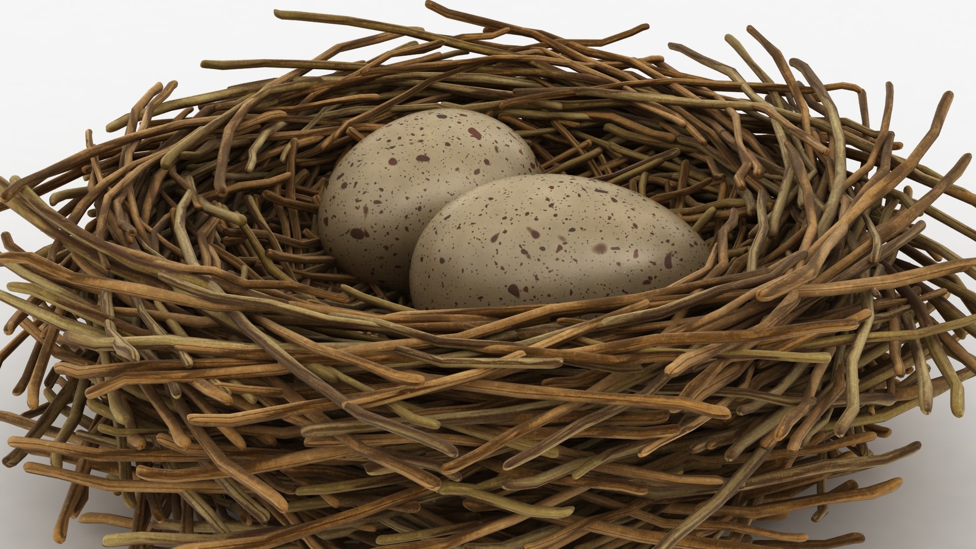 Realistic Bird Nest 02 Model - TurboSquid 1561338