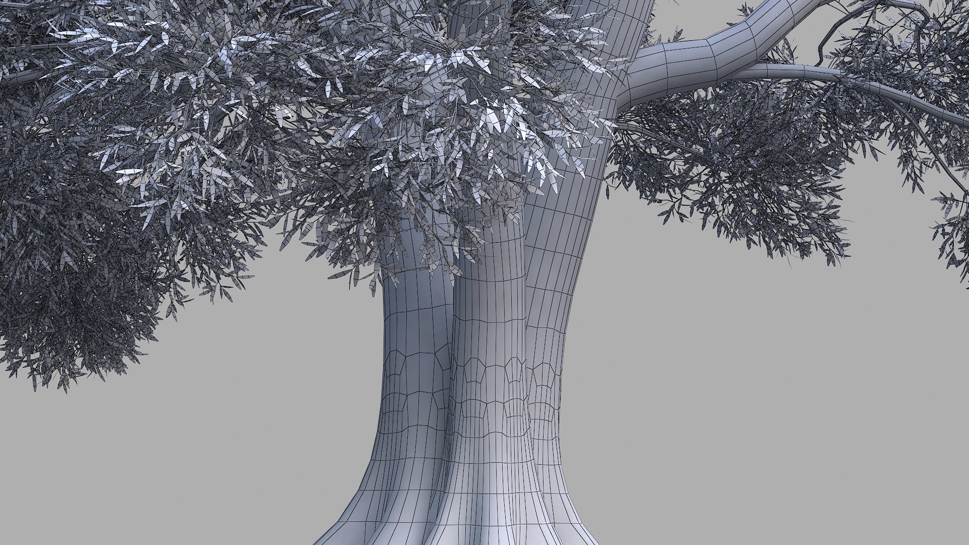 3D Willow Tree 02 - TurboSquid 1948237