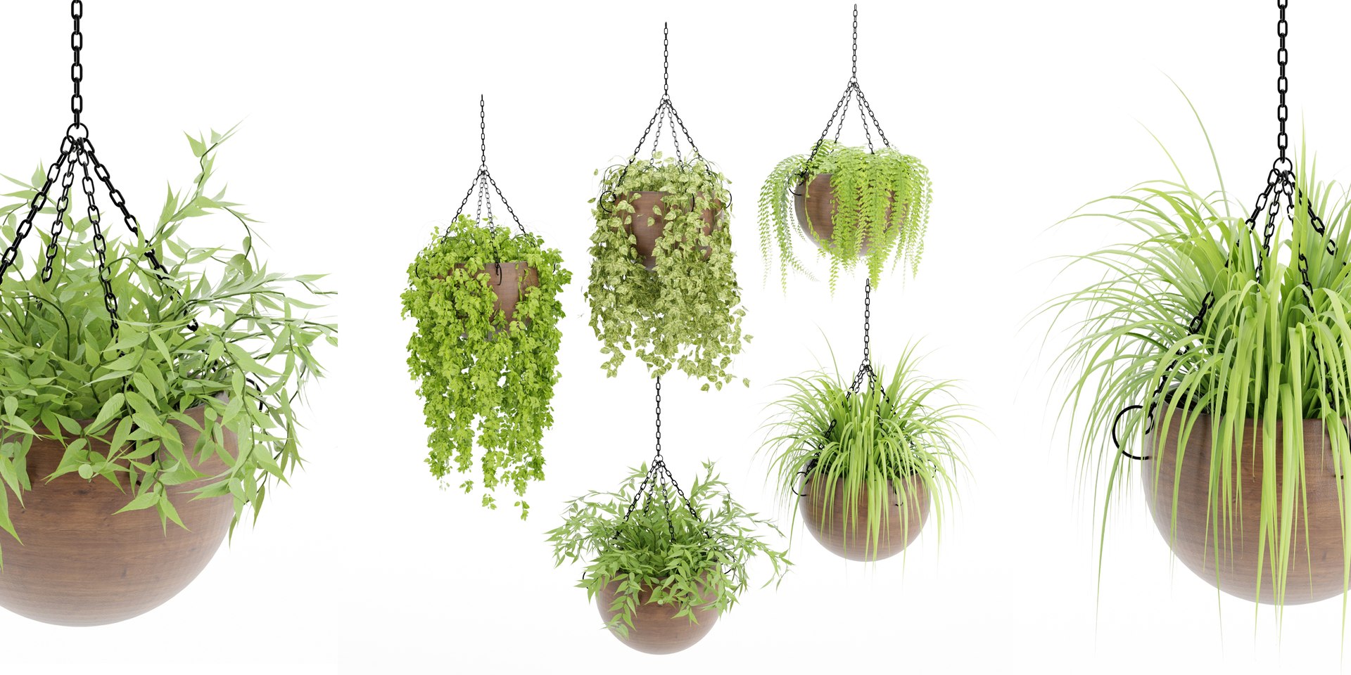 Hanging Plant Indoor Collection Vol 41-Blender 3D Model - TurboSquid ...
