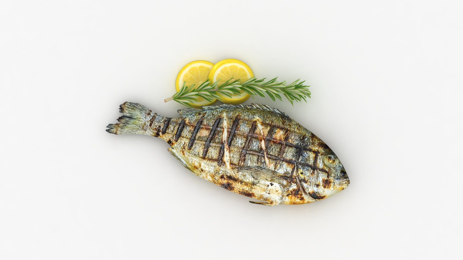 Realistic Grilled Fish 3D Model - TurboSquid 1489578
