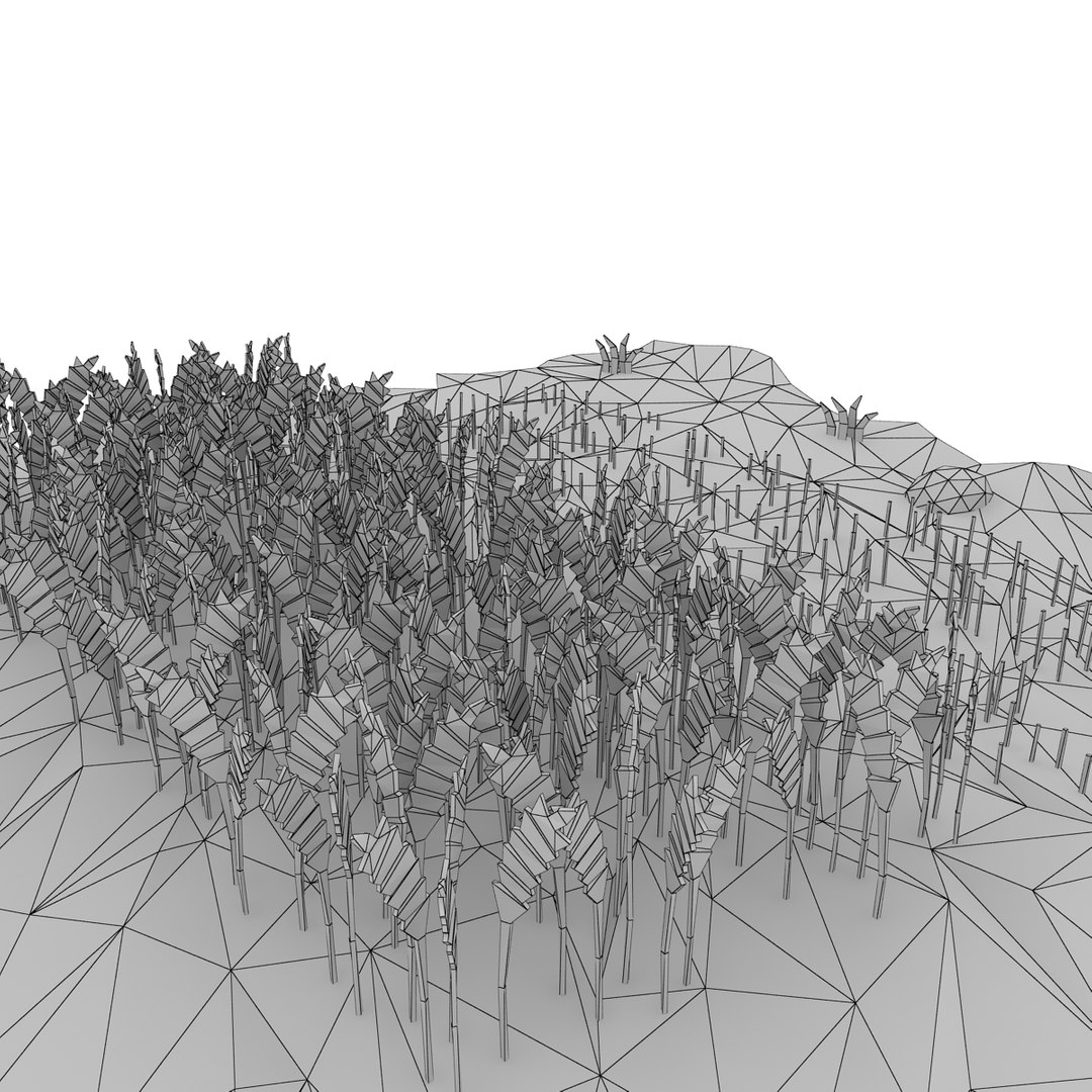 3d Cartoon Field