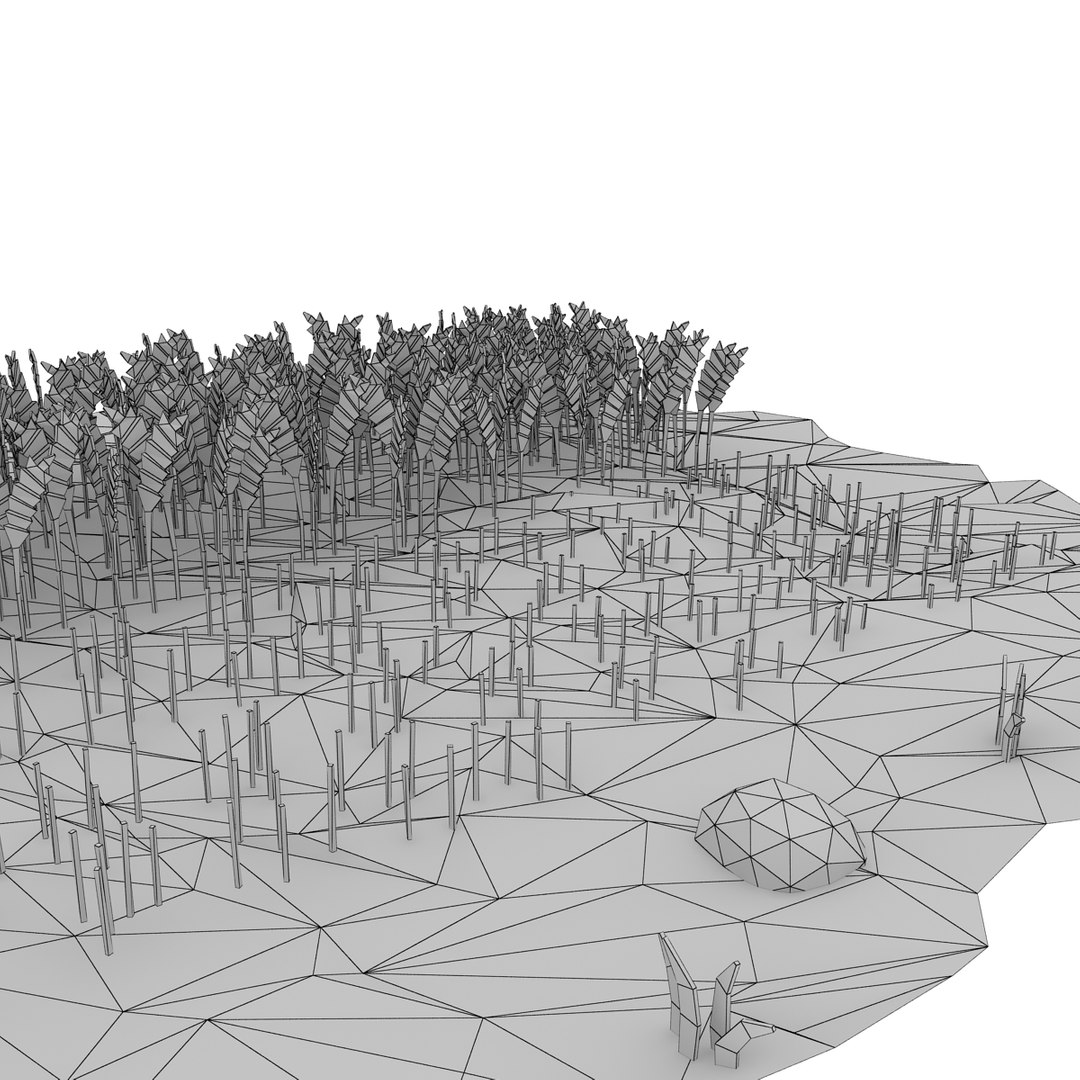 3d Cartoon Field