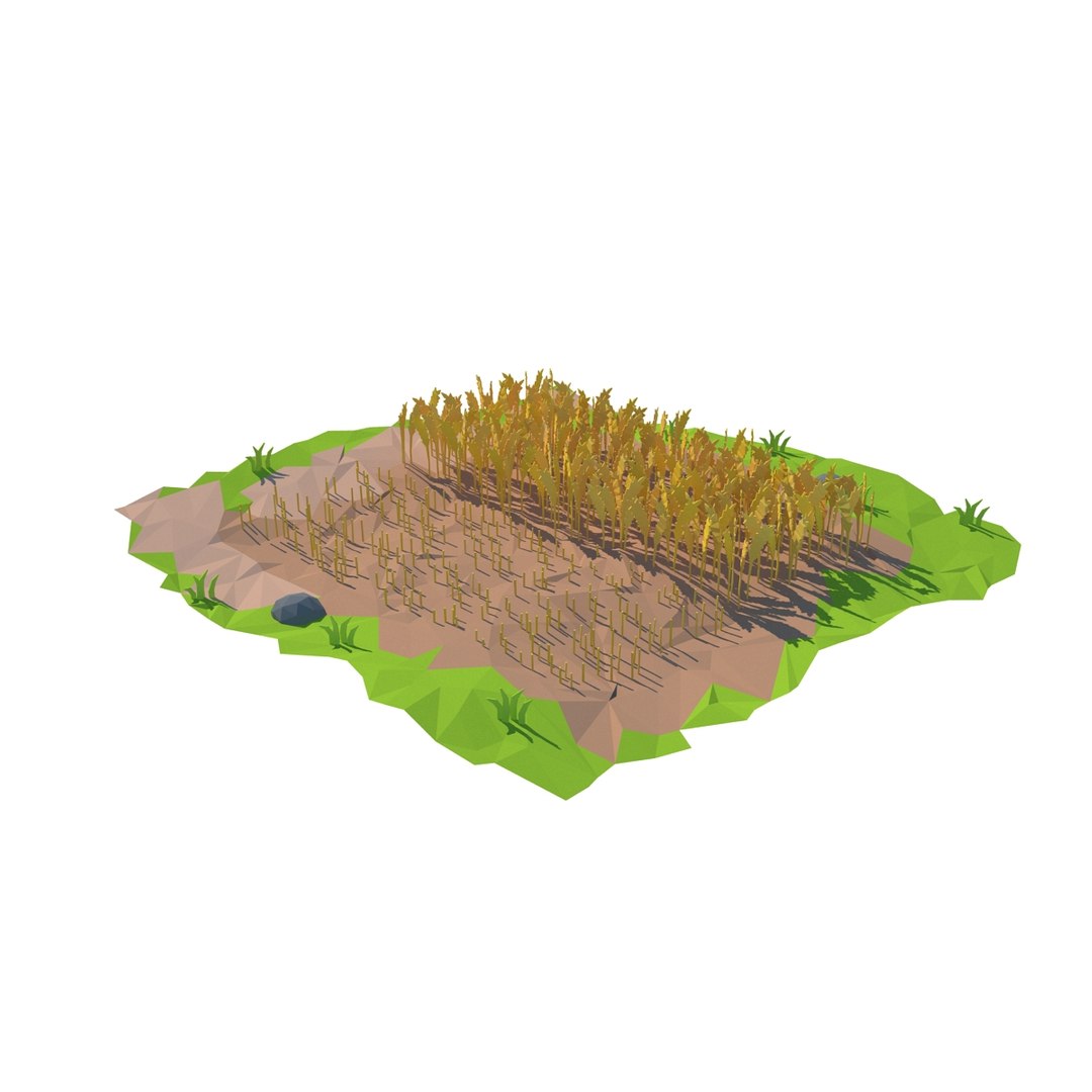 3d Cartoon Field
