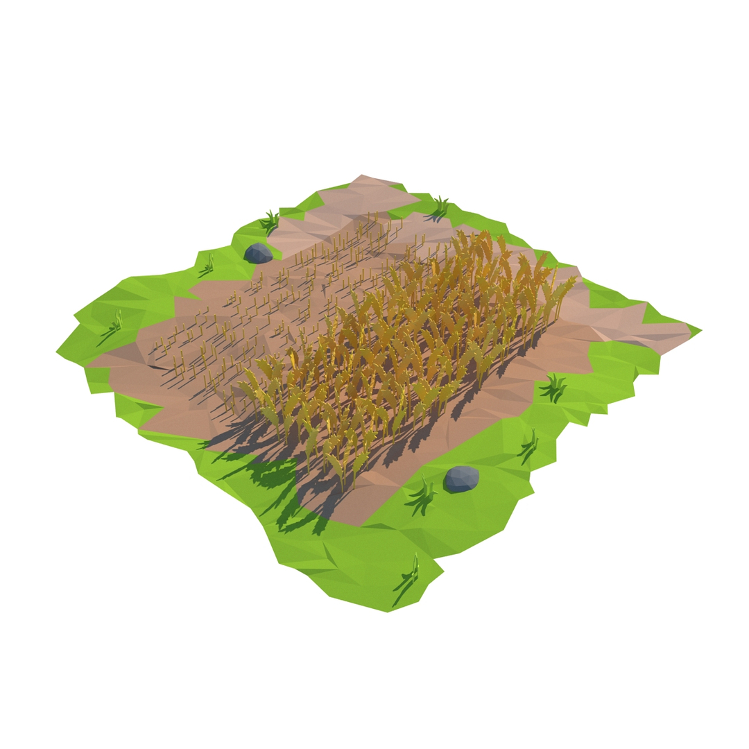 3d cartoon field