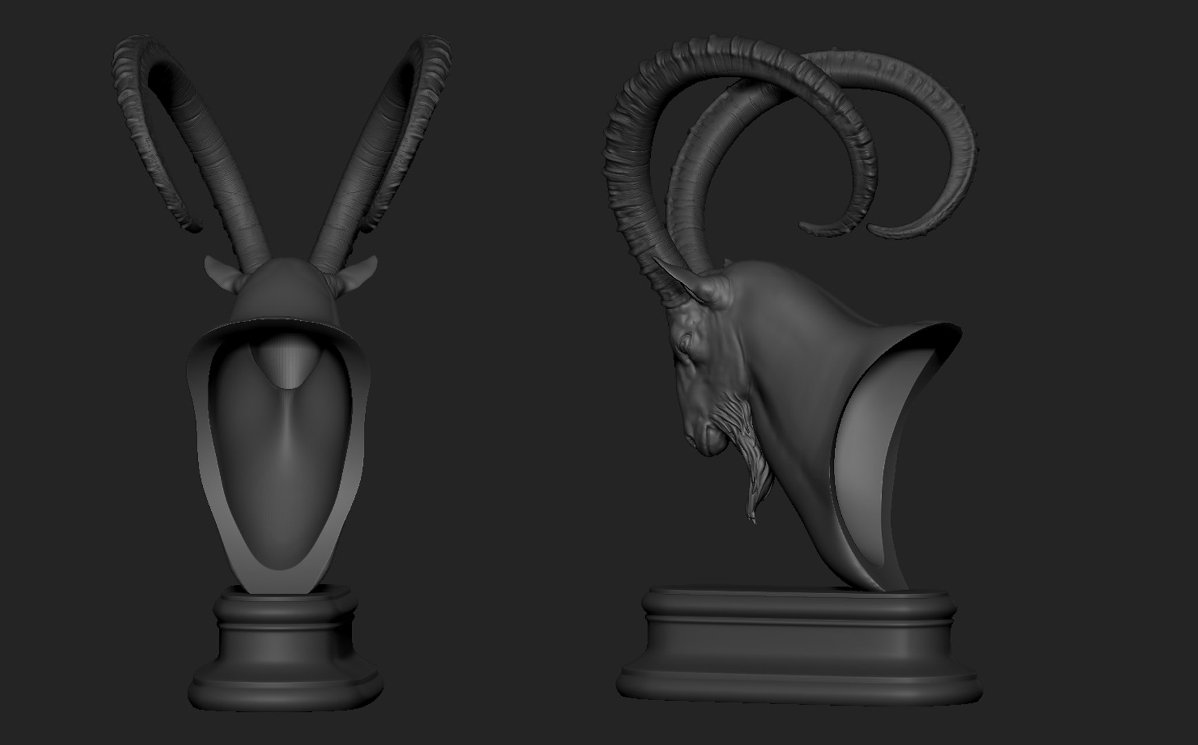 Ibex Head 3D Model - TurboSquid 1974741
