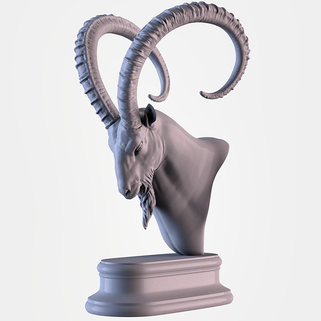 Ibex Head 3D Model - TurboSquid 1974741