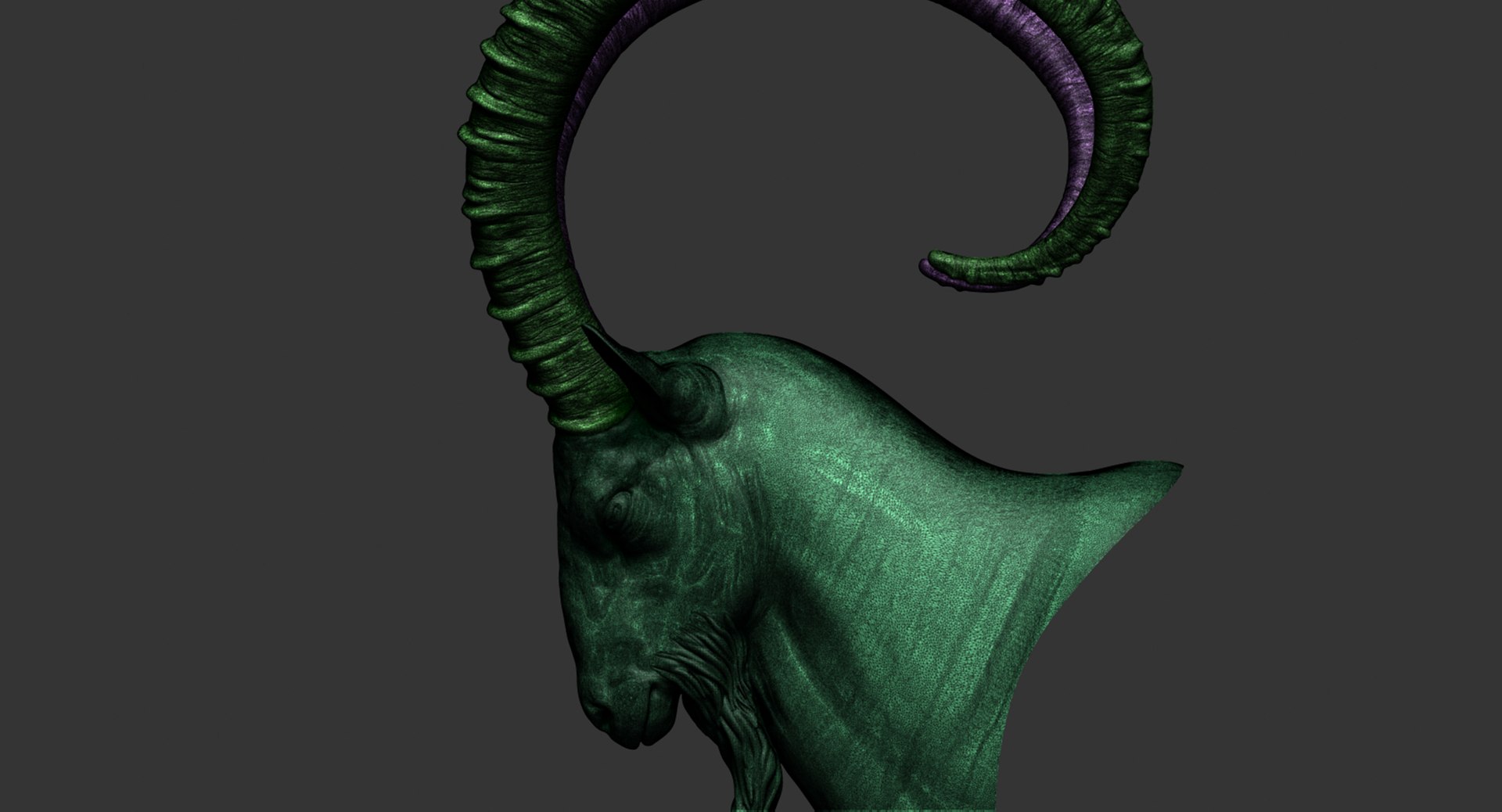 Ibex Head 3D Model - TurboSquid 1974741